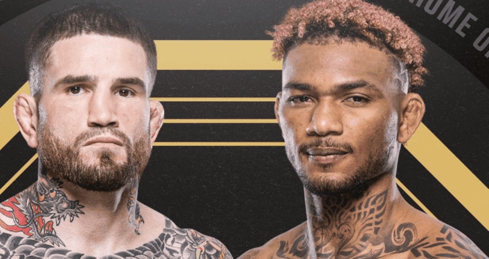 A Welterweight Bout Between Sean Brady And Michael Morales Has Been ...