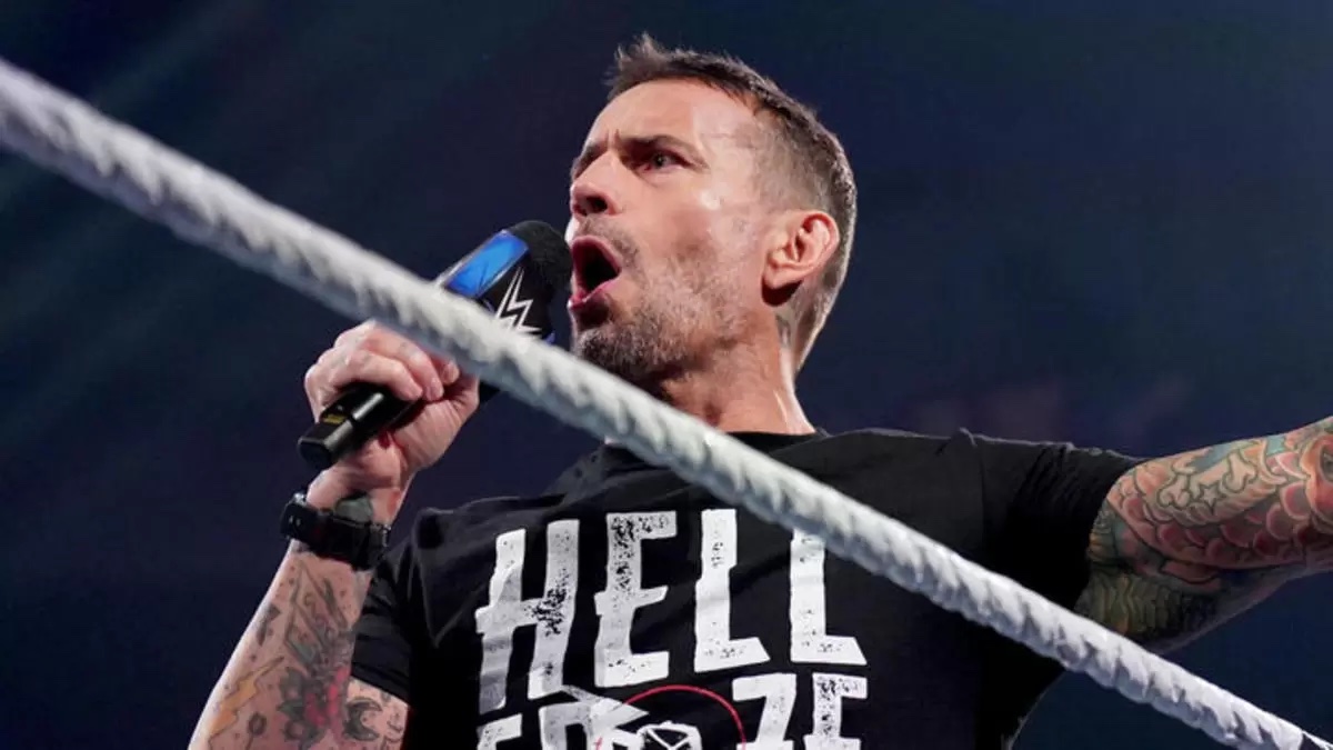 CM Punk Reveals Timeline For Return From Injury And Shares His Take On ...