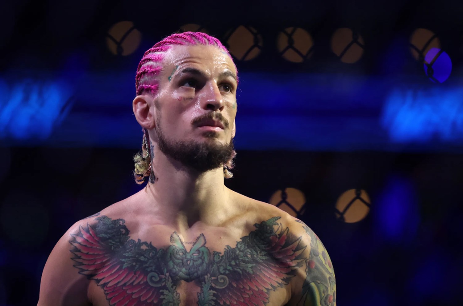 Former UFC Bantamweight Champion Sean O'Malley Says He Likes A Match-Up ...