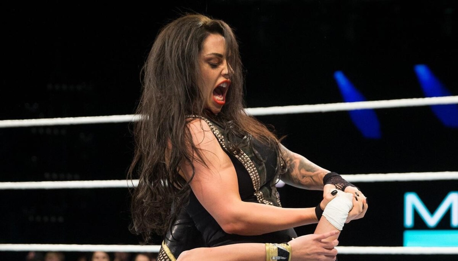 Former WWE Superstar Kaitlyn Debuts Stunning New Look At ROYAL RUMBLE ...