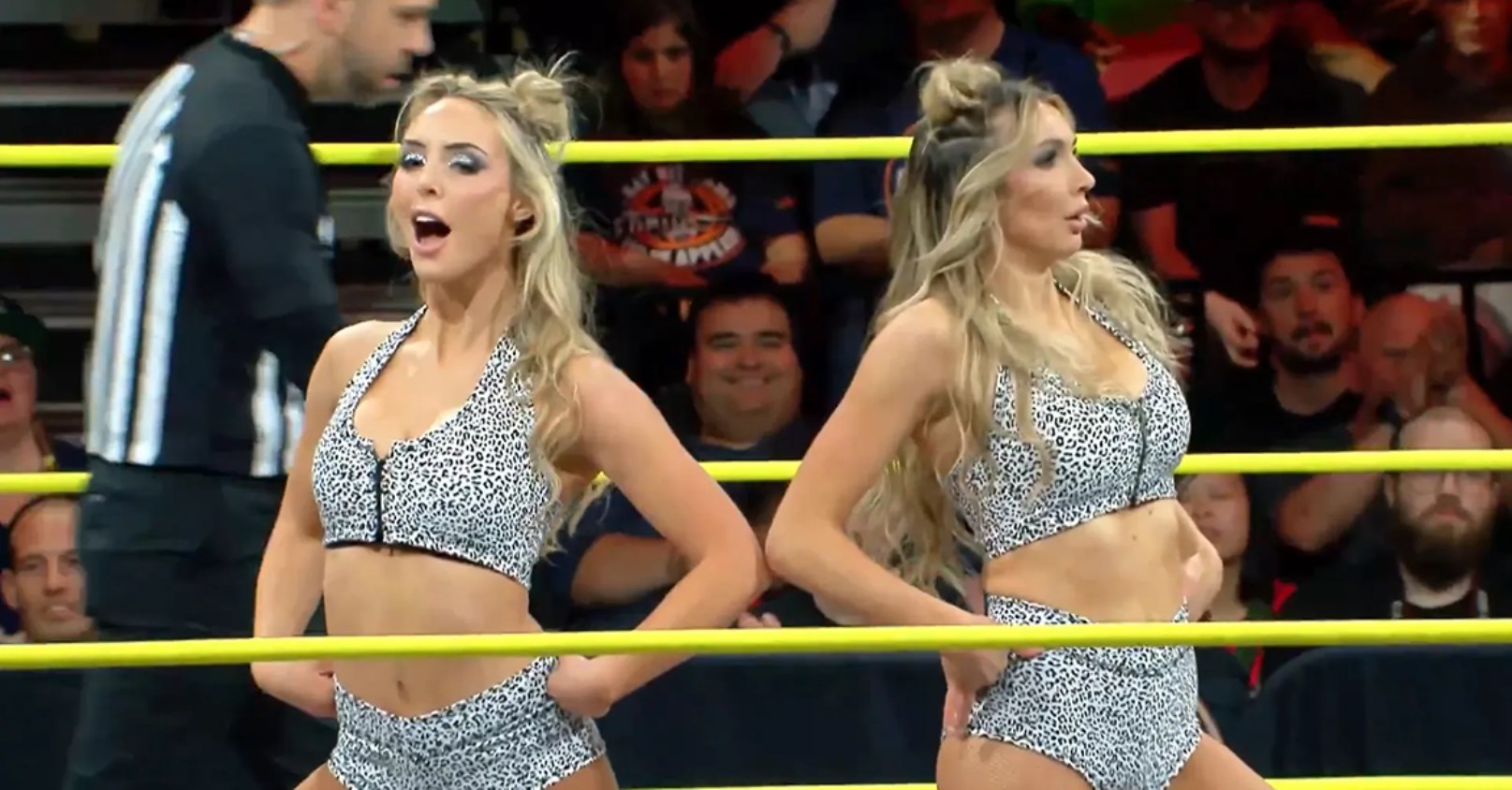 The IInspiration Win The TNA Knockouts Tag Team Titles On Last Night's TNA IMPACT!