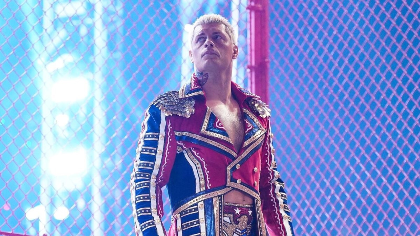 WWE's Scrapped Plans For Hell In A Cell WRESTLEMANIA Main Event Revealed